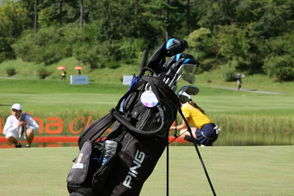 Choosing Stiff or Regular Flex for Iron Shafts